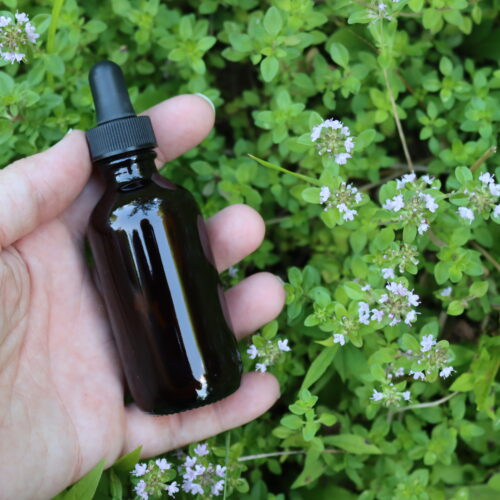 Thyme Tincture — Practical Self Reliance