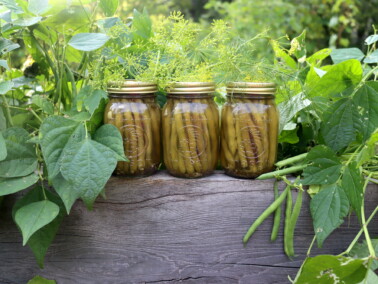 Homemade Gherkin (Cornichons) — Practical Self Reliance
