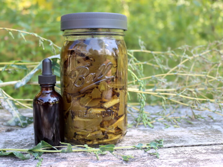 How to Make Herbal Glycerites (Alcohol-Free Tinctures) — Practical Self ...