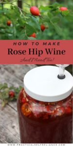 Rosehip Wine (& Mead) — Practical Self Reliance