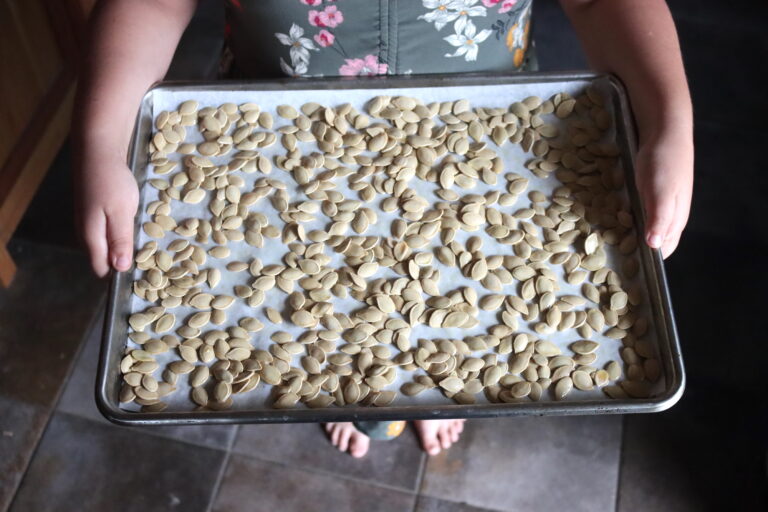 How to Roast Pumpkin Seeds (12+ Flavors) — Practical Self Reliance