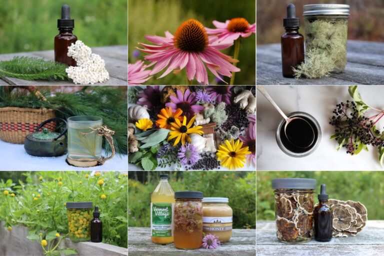 16+ Natural Remedies for Cold and Flu — Practical Self Reliance