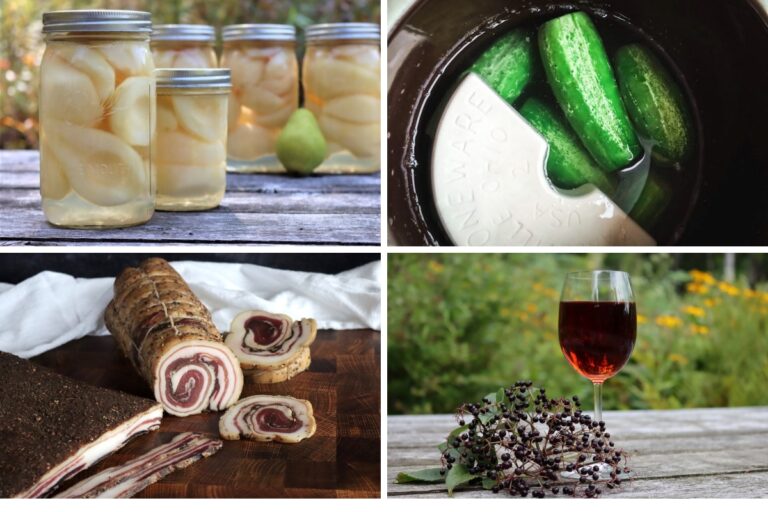 11 Ways to Preserve Food at Home — Practical Self Reliance