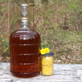 Dandelion Mead — Practical Self Reliance