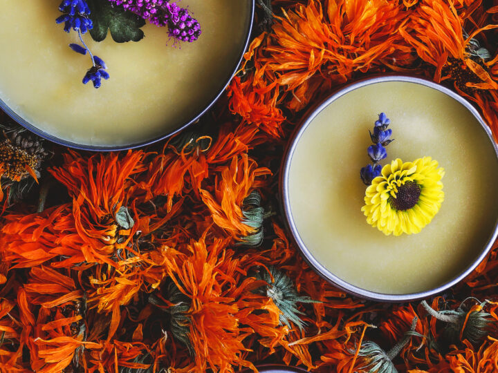 Salves Archives — Practical Self Reliance