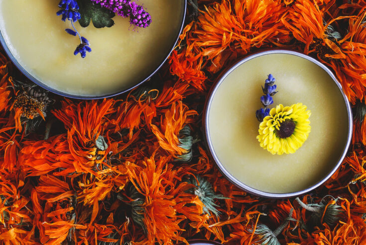 Vegan Herbal Salve Recipe — Practical Self Reliance