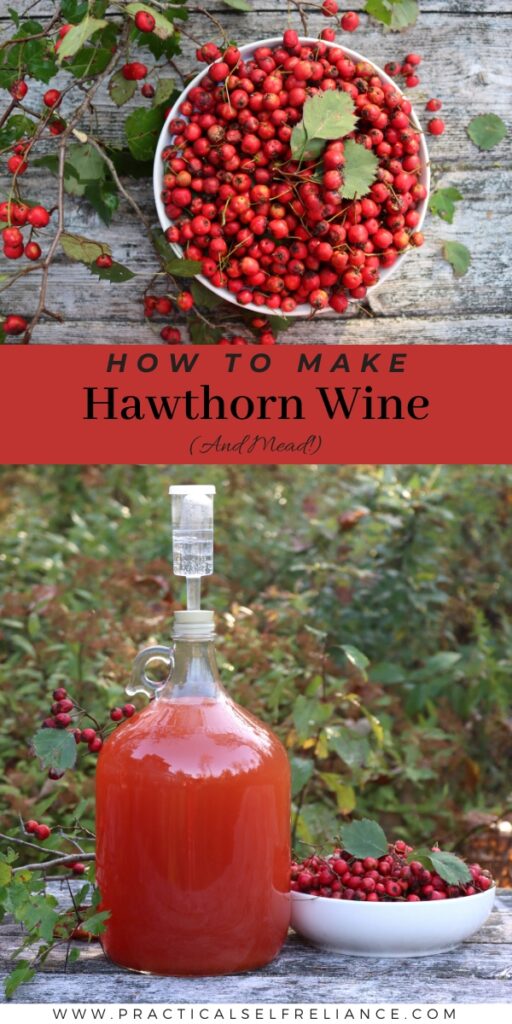 Hawthorn Wine (& Mead) — Practical Self Reliance
