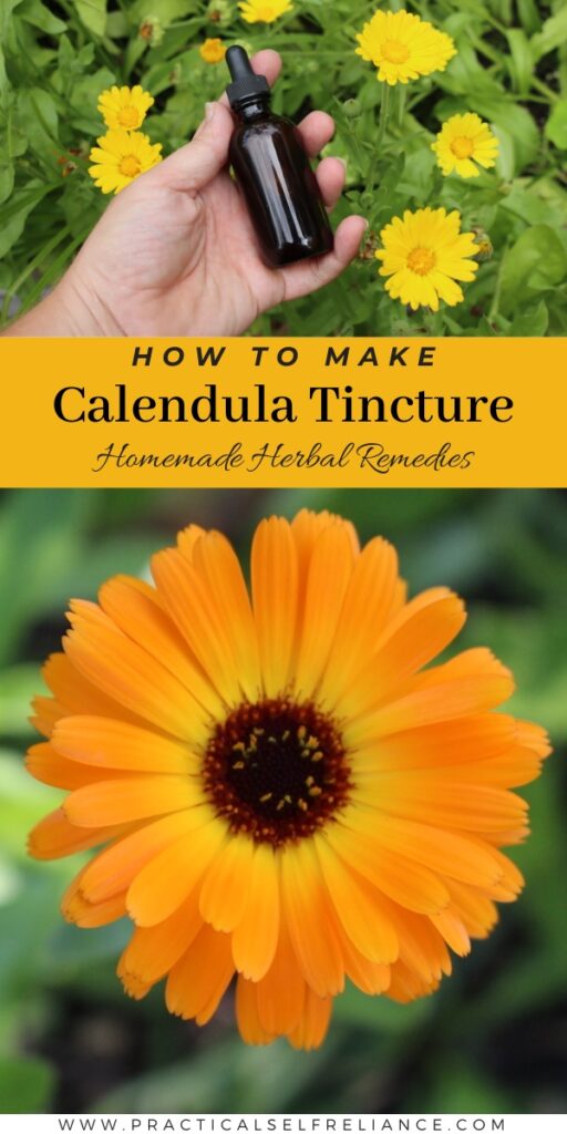 Calendula Tincture — Practical Self Reliance