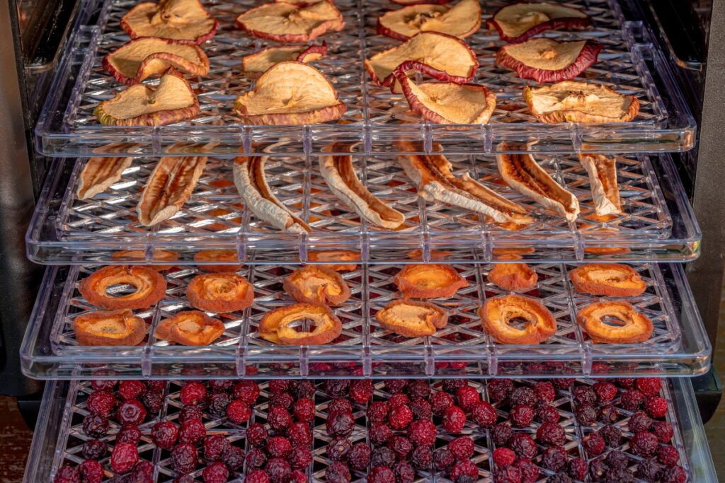 Dehydrating Food: Beginner's Guide — Practical Self Reliance