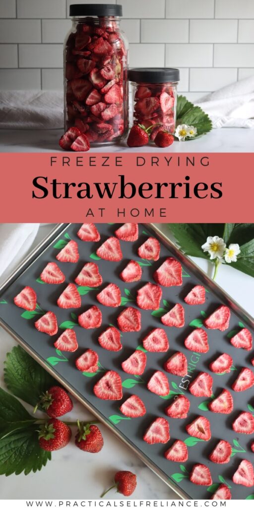 How to Freeze Dry Strawberries at Home — Practical Self Reliance