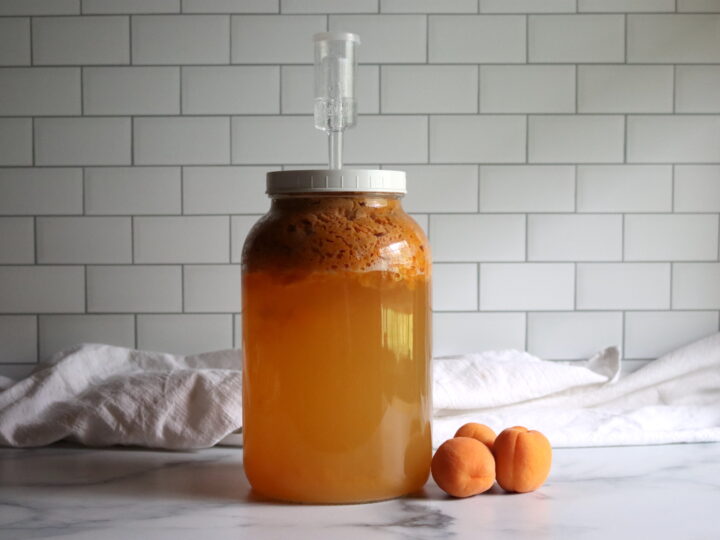 Homemade Persimmon Wine — Practical Self Reliance