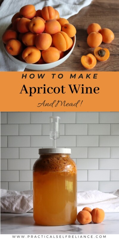 Apricot Wine — Practical Self Reliance