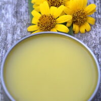 Arnica Salve — Practical Self Reliance