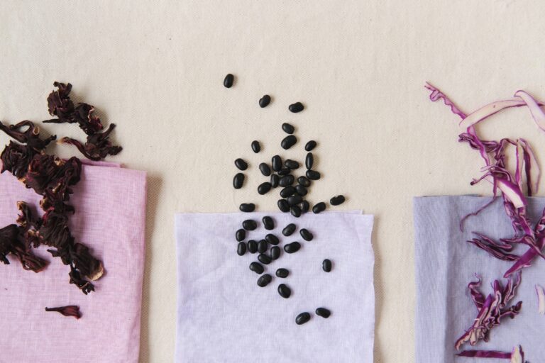 Beginner's Guide to Natural Dyes — Practical Self Reliance