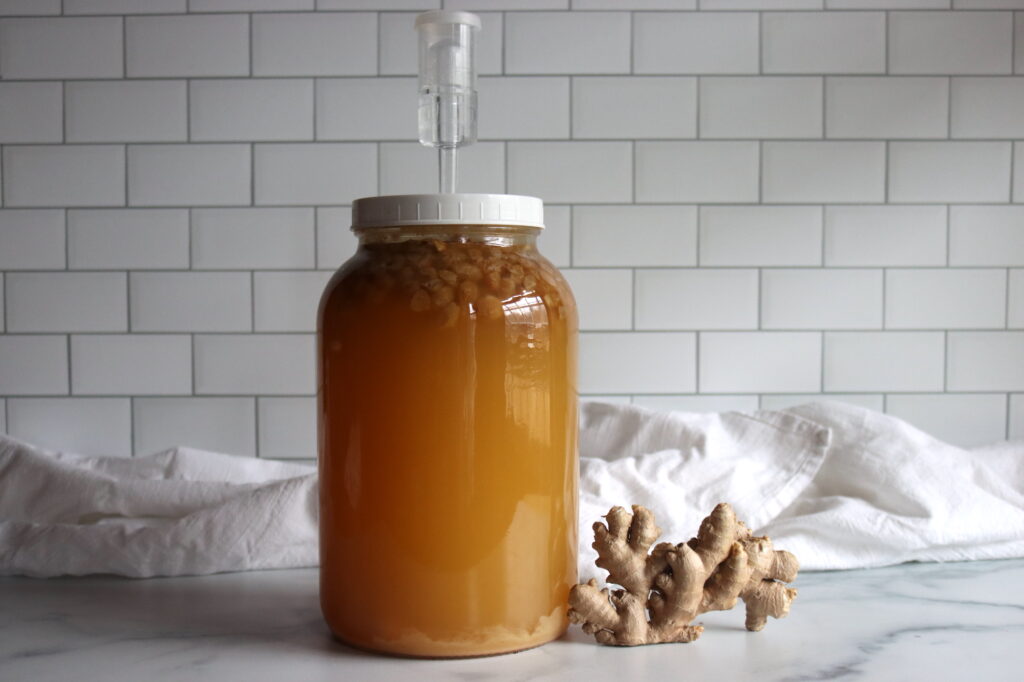 Ginger Wine (& Mead) — Practical Self Reliance