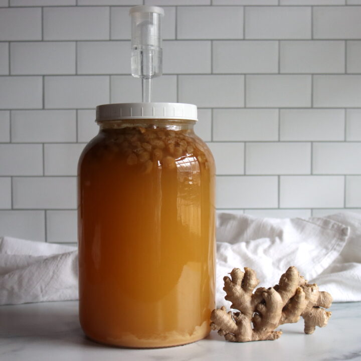 Ginger Wine (& Mead) — Practical Self Reliance