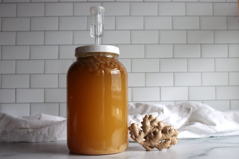 Ginger Wine (& Mead) — Practical Self Reliance
