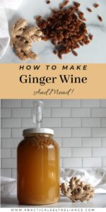 Ginger Wine (& Mead) — Practical Self Reliance