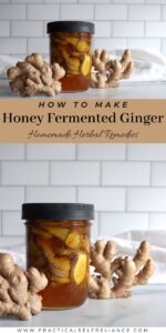 Honey Fermented Ginger — Practical Self Reliance