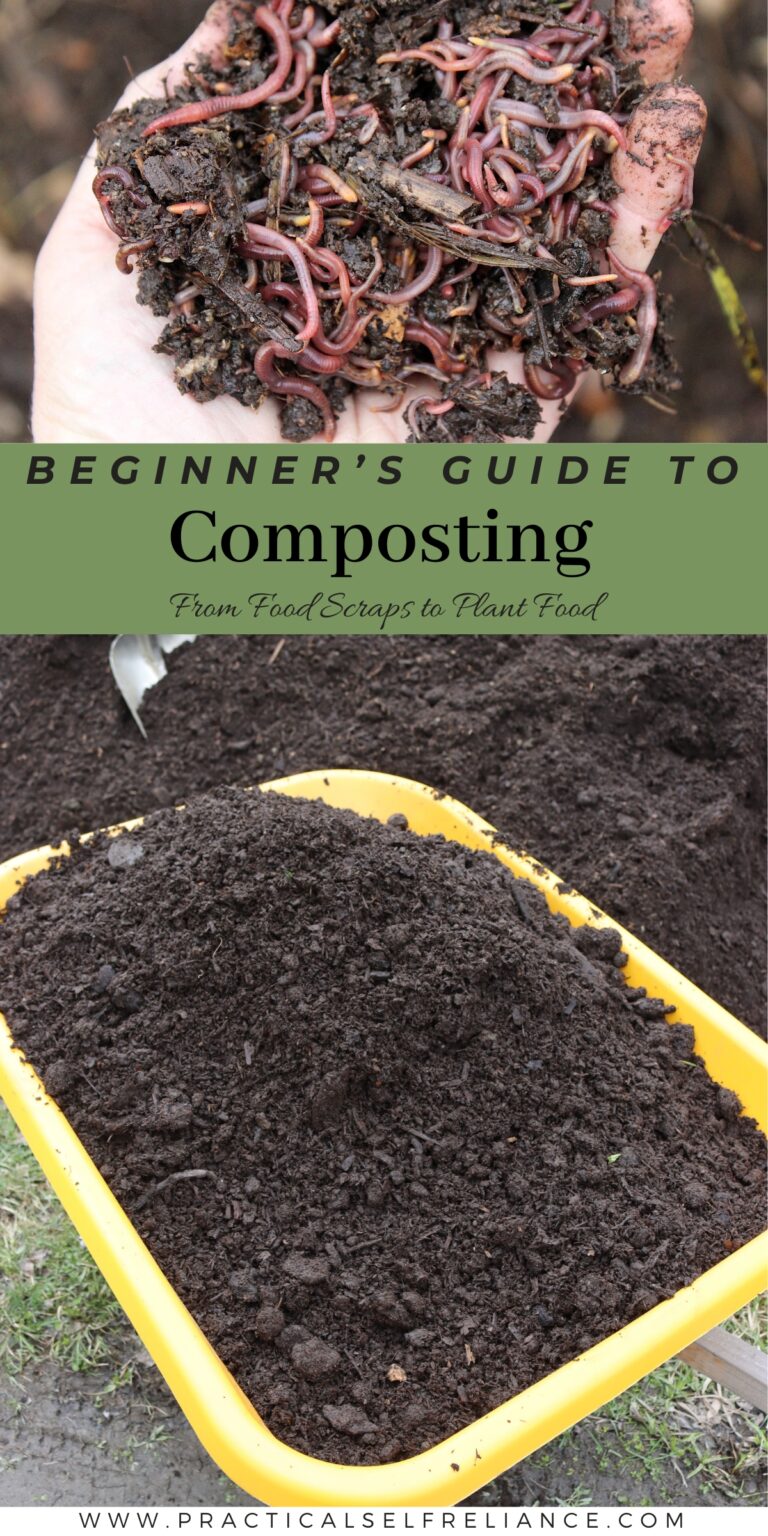 Beginner's Guide to Composting — Practical Self Reliance