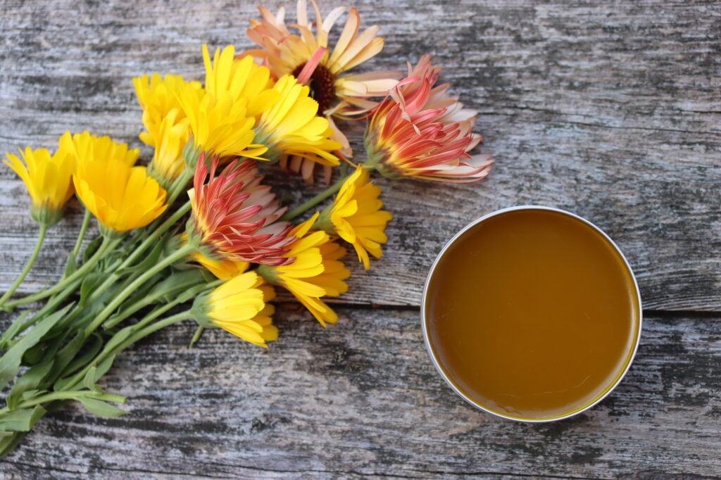 Calendula Salve — Practical Self Reliance