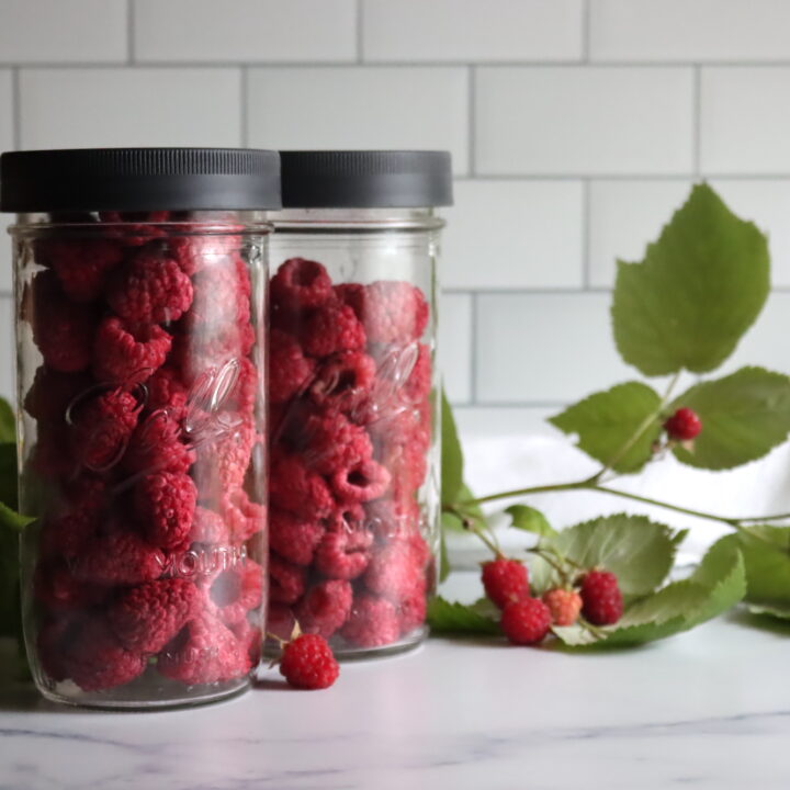 How to Freeze Dry Raspberries — Practical Self Reliance