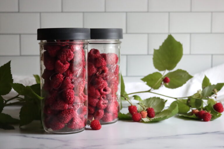How to Freeze Dry Raspberries — Practical Self Reliance
