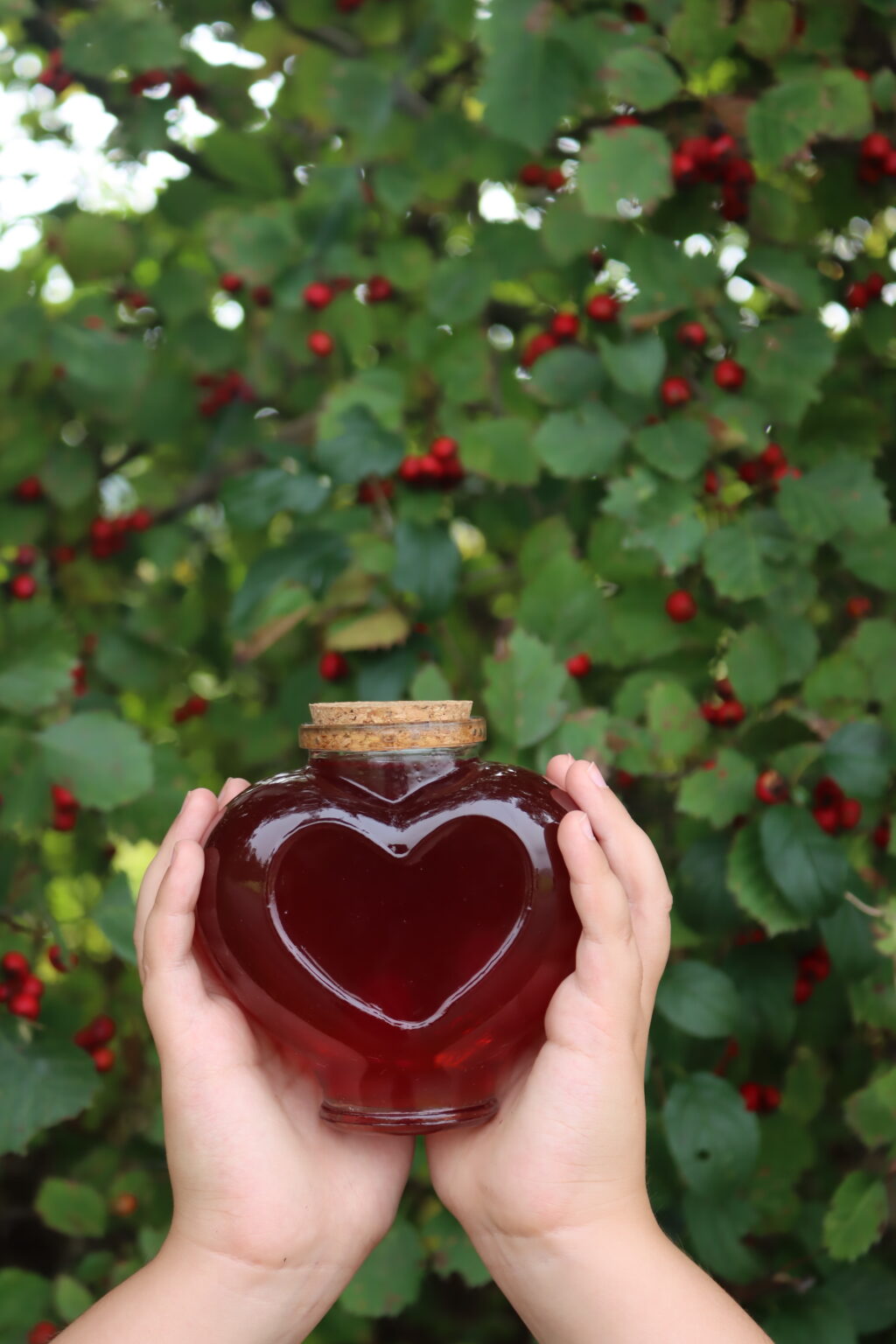 Hawthorn Syrup — Practical Self Reliance