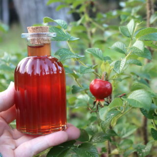 Rose Hip Syrup — Practical Self Reliance