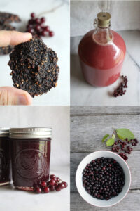 Foraging Chokecherry (Prunus virginiana) — Practical Self Reliance