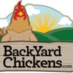 Pine Bark Bread ~ Traditional Scandinavian Recipe — Practical Self Reliance