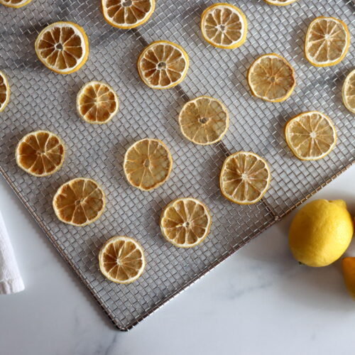 Dehydrating Lemons — Practical Self Reliance