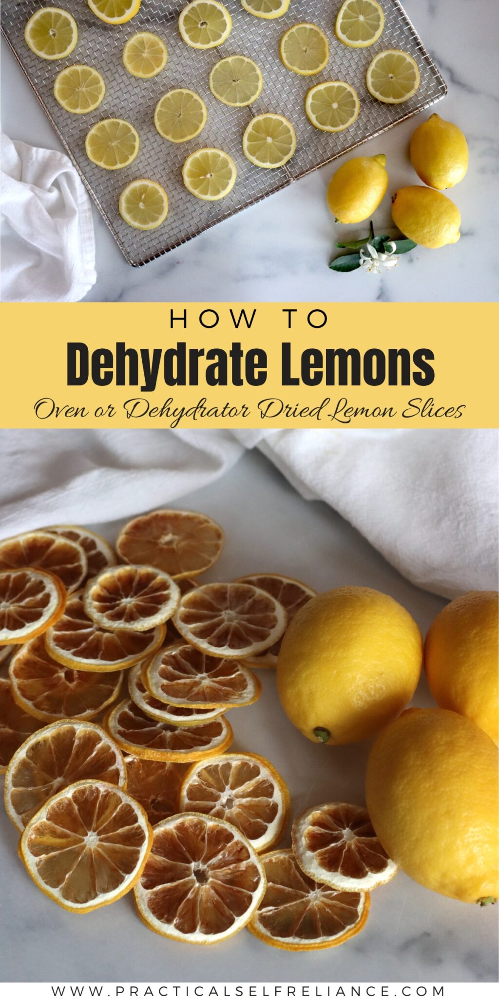 Dehydrating Lemons — Practical Self Reliance