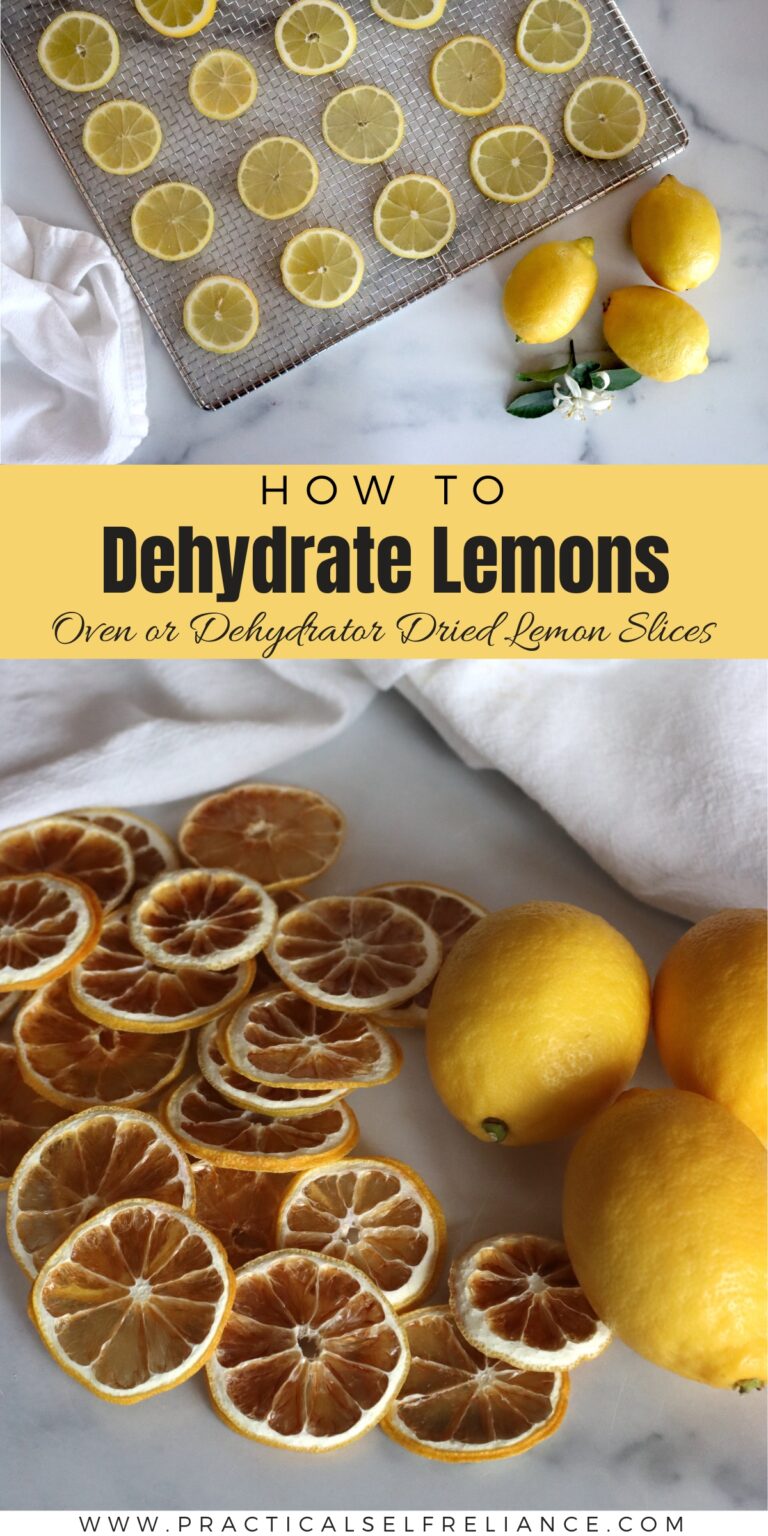 Dehydrating Lemons — Practical Self Reliance