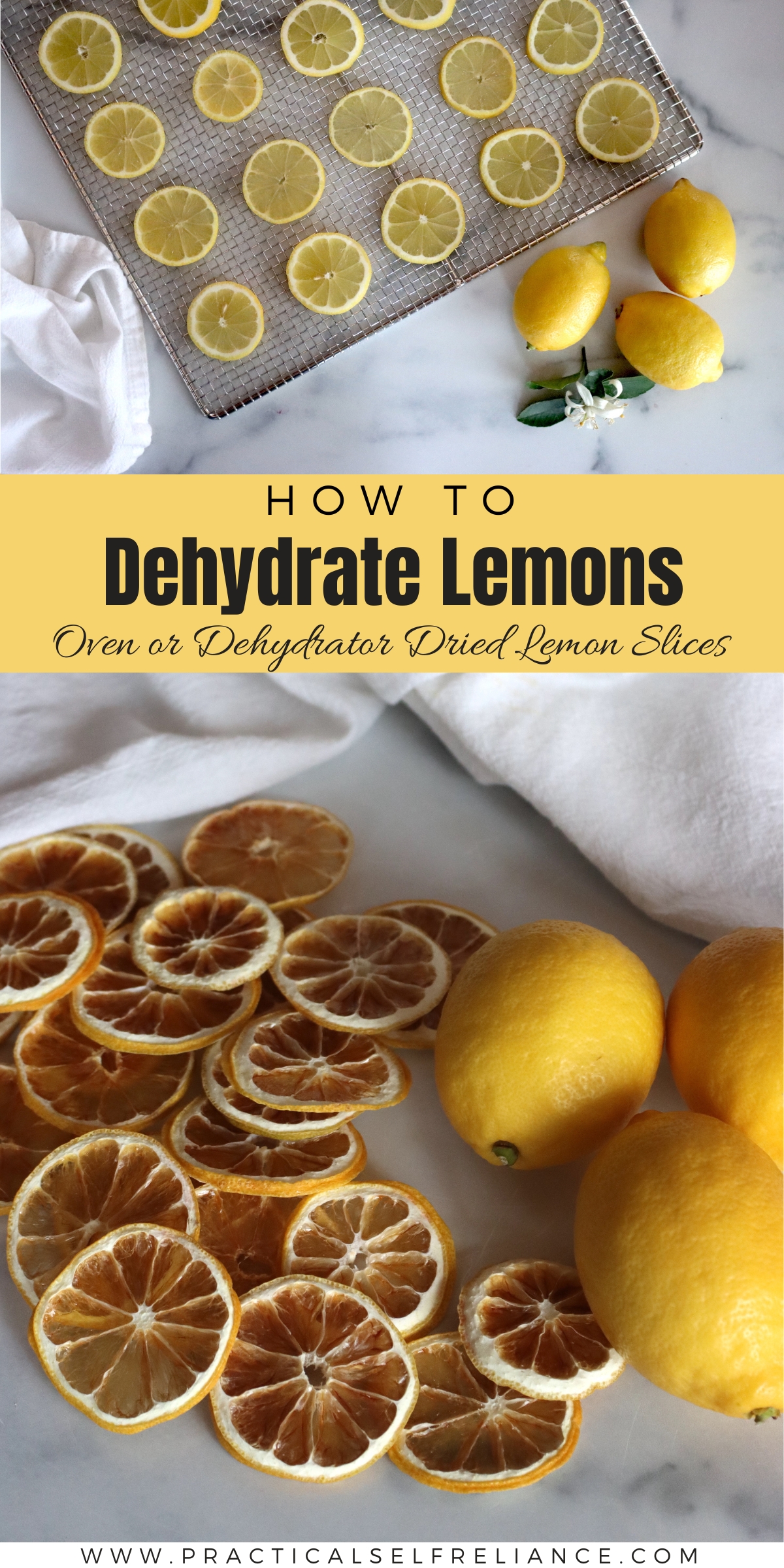 Dehydrating Lemons — Practical Self Reliance