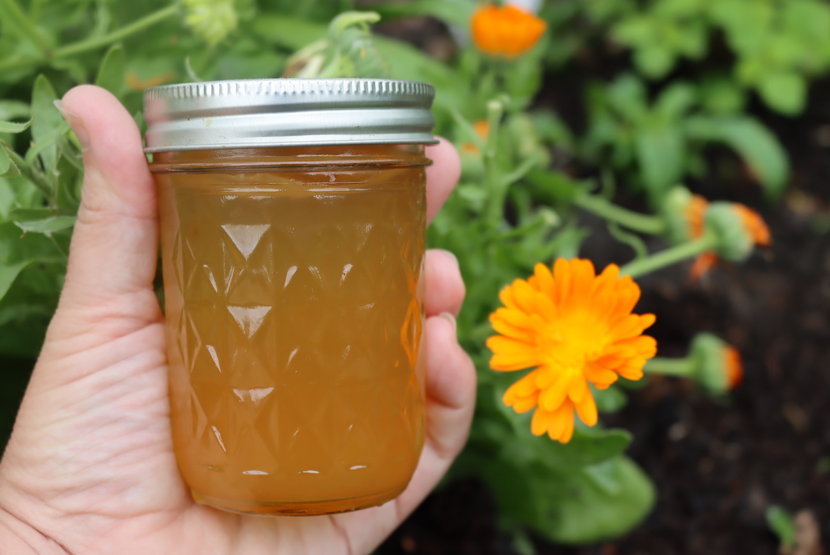 10 Ways to Use Calendula — Practical Self Reliance